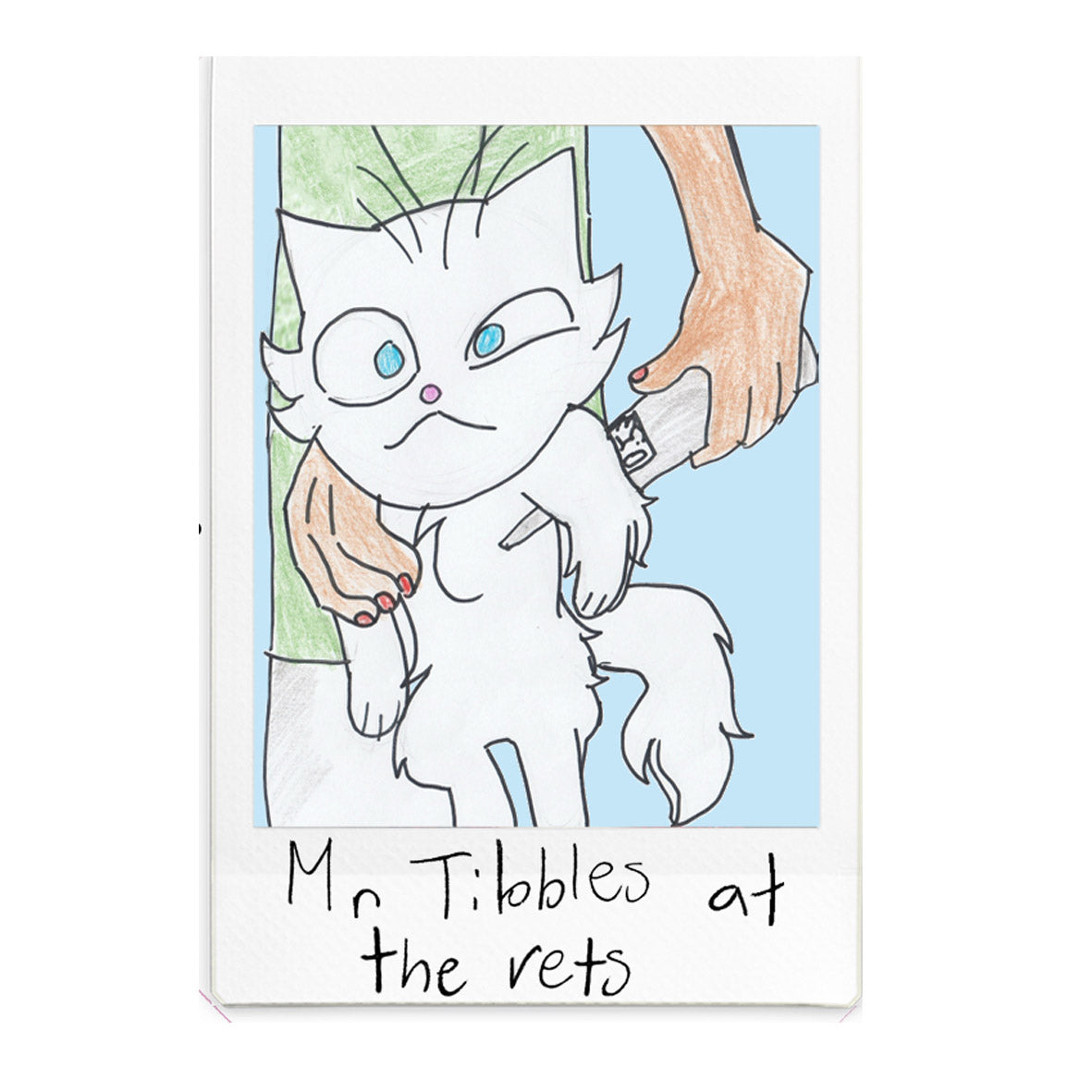 Magnet - Aoki Mr Tibbles – The Cartoon Museum